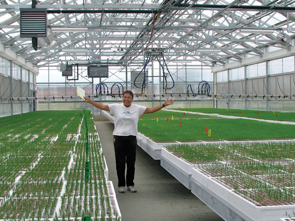 Red Lake To Restore Great Pine Forests | The Circle News